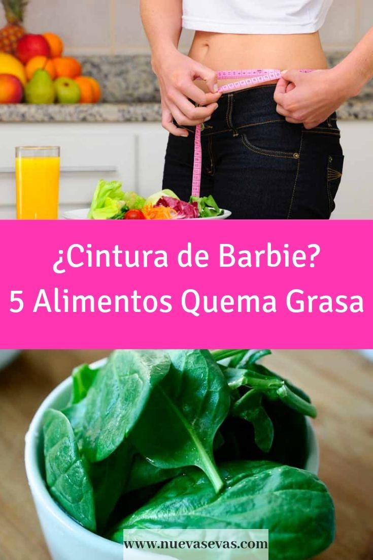 ¿Cintura de Barbie? Estos son 5 Alimentos Quema Grasa - Nuevas Evas ...
